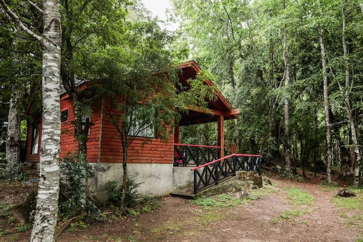 Cabañas San Matteo. - Panguipulli