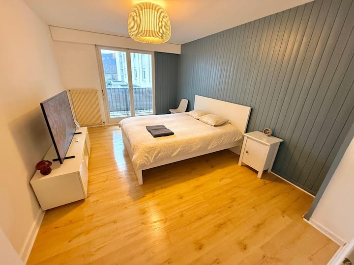 G11 Great Spacious Apart Center Close Geneva - Gaillard