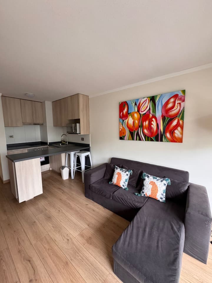Lindo Departamento En Viña Del Mar - Quilpué