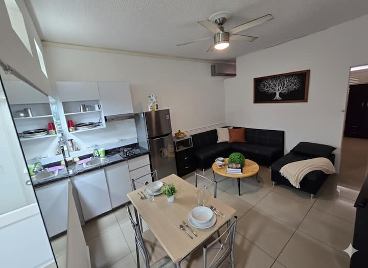 Depa Céntrico Ideal Para Parejas/viaje De Negocios - Monterrey