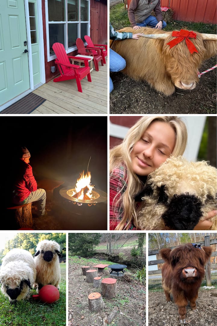 Hideout With Highlanders - Walland, TN