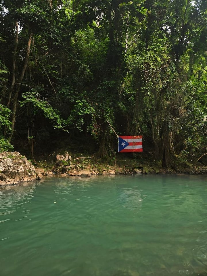 Unique Islandroot Condo*step To Beach*bar&elyunque - 波多黎各