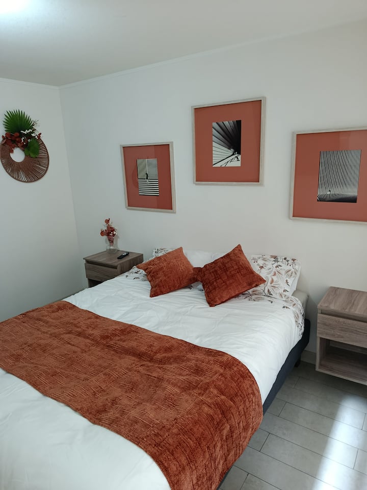 Confortable Apartment Near Historic City Center - チリ サンティアゴ