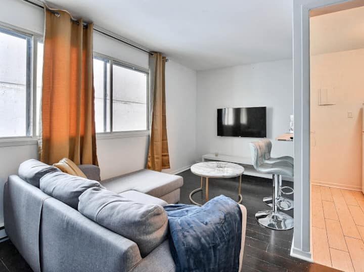 Cosy Studio Downtown Montreal/ Plateau - Montreal