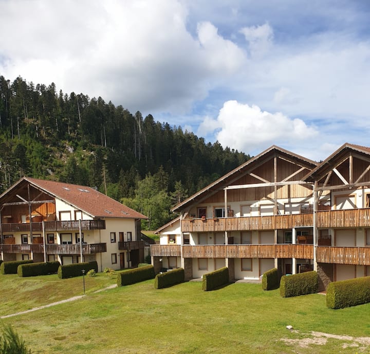 Appartement Cosy Au Bord Du Lac - Gérardmer