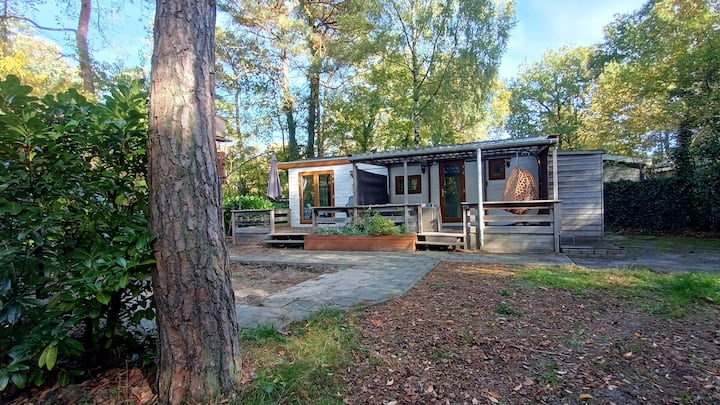 De Dennenappel - Staphorst