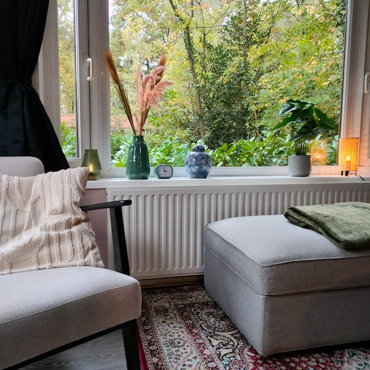 De Dennenappel - Meppel