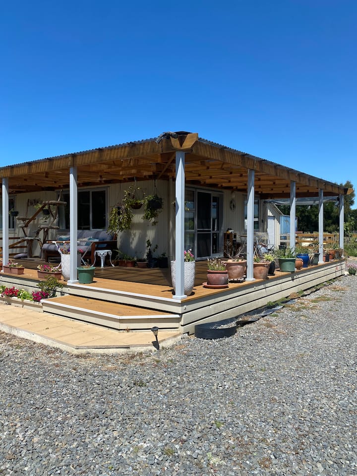 Sun Drenched Cottage - Clive