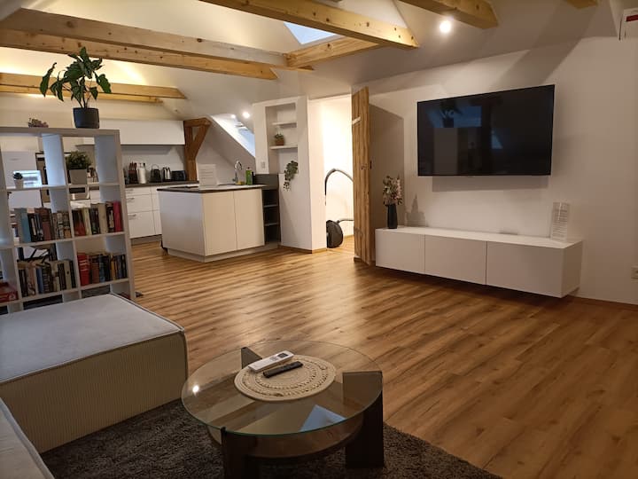 Top Apartments | Center |Air Conditioning |Netflix - Ludwigsburg
