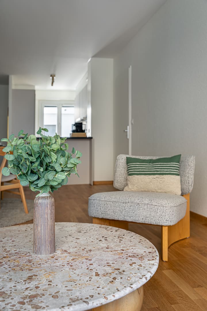 Stylish 2br Lakeside Apartment By The Jet D'eau - Geneve