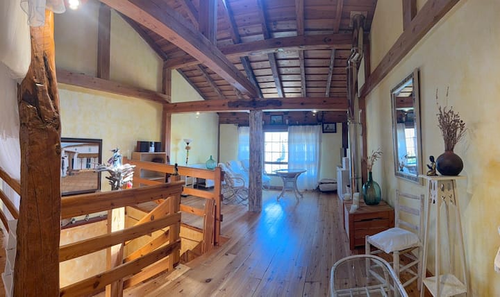 Casa Vega Bayo - Aranda de Duero