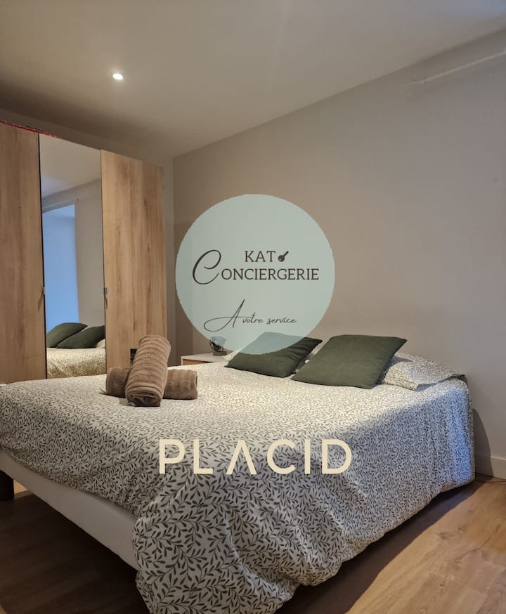 Appartement Cosy Au Cœur De Vannes - Vannes