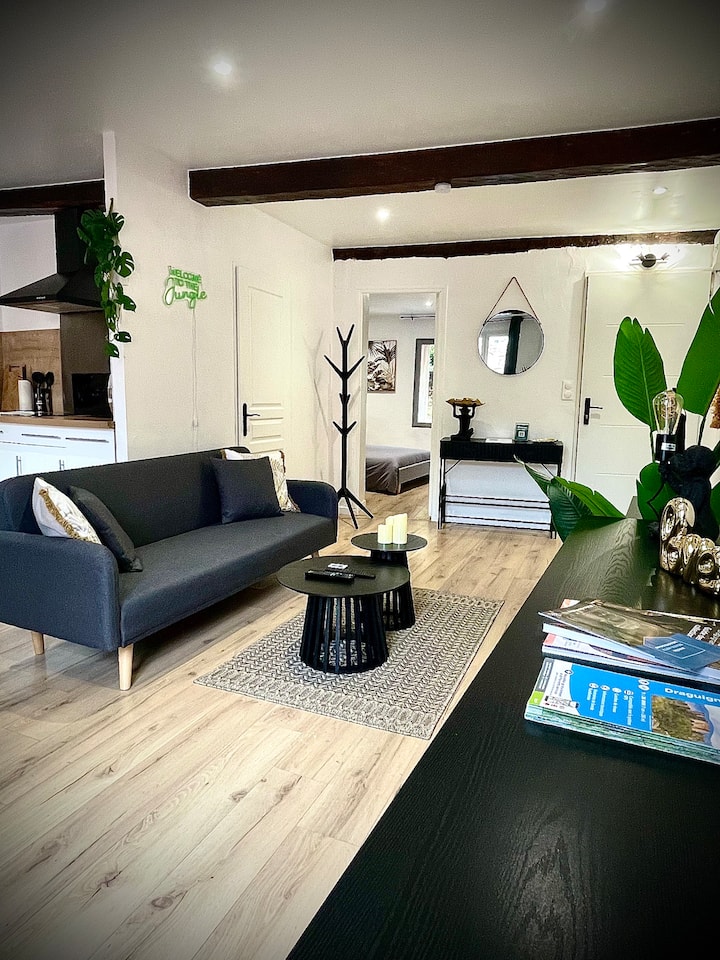 Jungle Suite - Draguignan - Draguignan