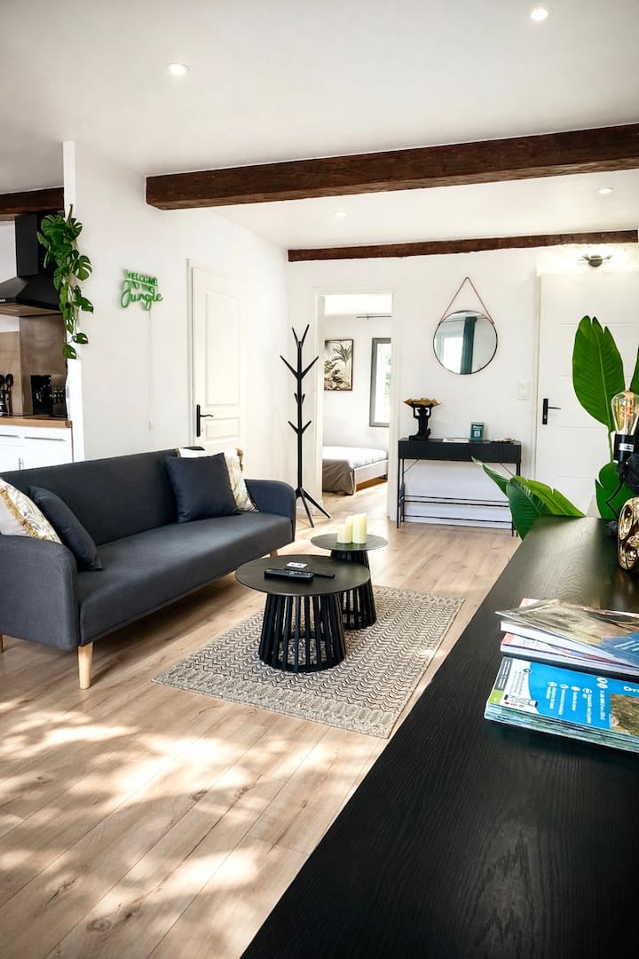 Jungle Suite - Draguignan - Draguignan