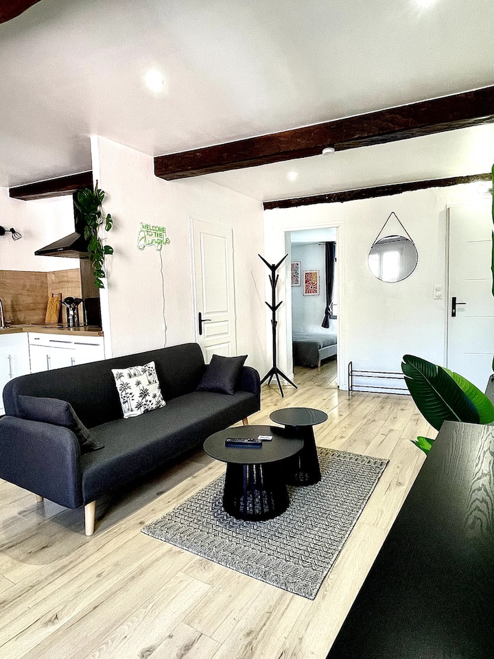 Superbe T2 Meublé - Style Jungle - Draguignan - Draguignan