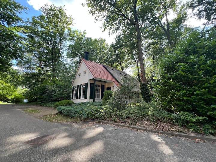 Koolmees - Tussen De Bomen! - Staphorst