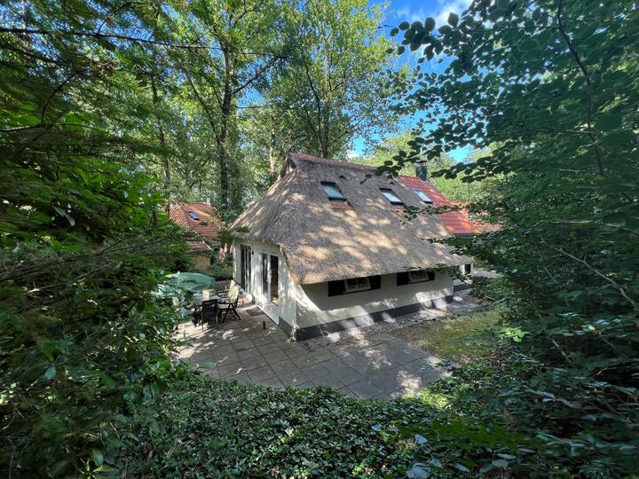 Koolmees - Tussen De Bomen! - Staphorst