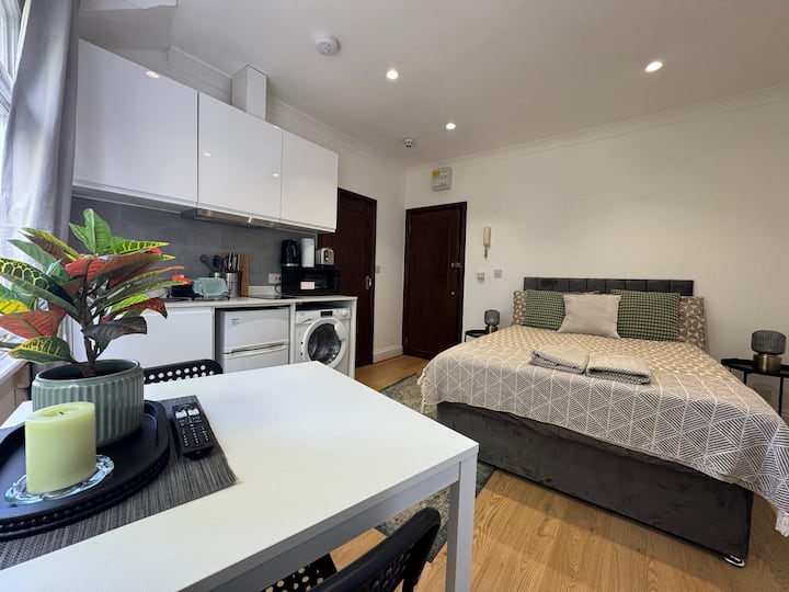 Central London Cosy Studio Near Regents Park! - Bloomsbury