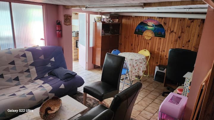 Grand Sous-sol Pour Un Séjour Paisible - Mons-en-Barœul