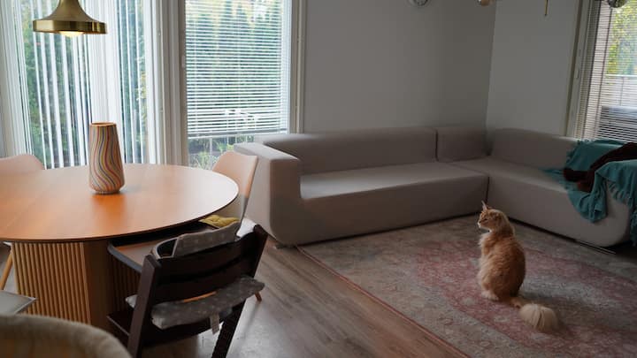 A Private Home In Helsinki With Sauna And Jacuzzi - Helsinki