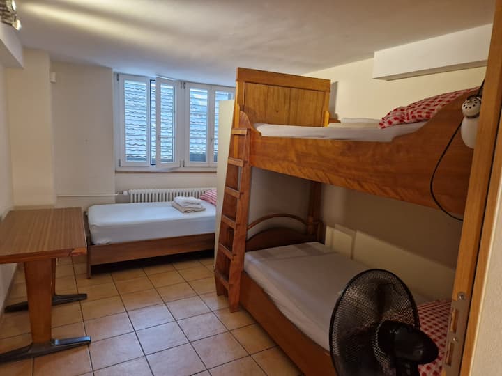 Musiker Zimmer - Zurich