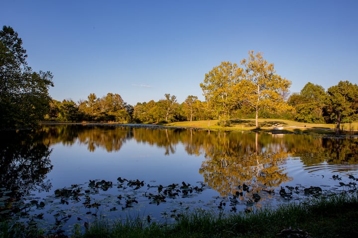 Lake Alot2do Hilltop House - Rugby, TN