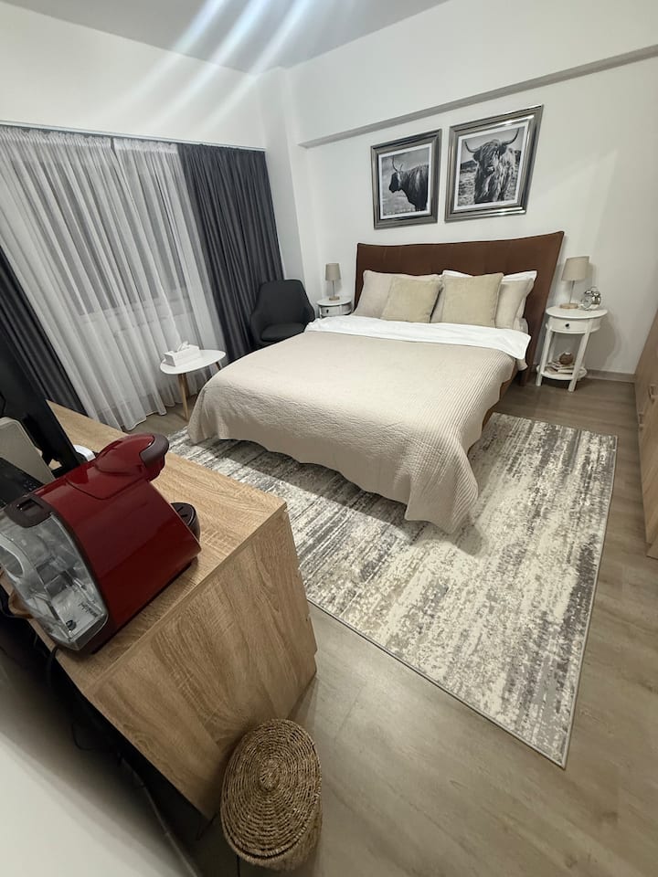 Apart Hotel G3 - Roman