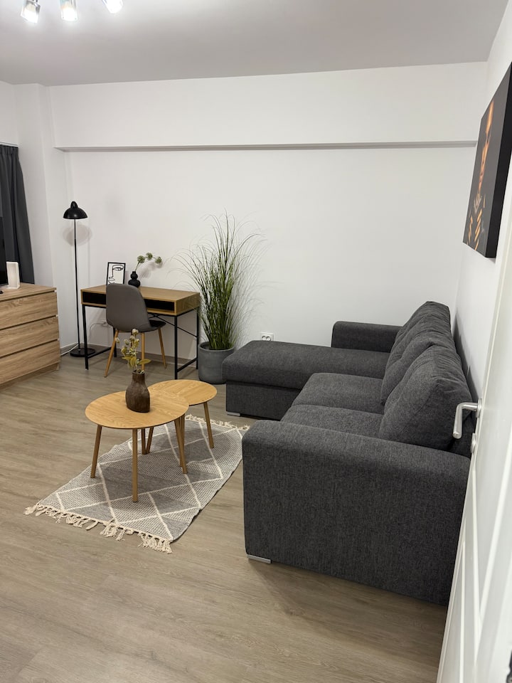 Apartament Cu O Camera(garsoniera) - Roman