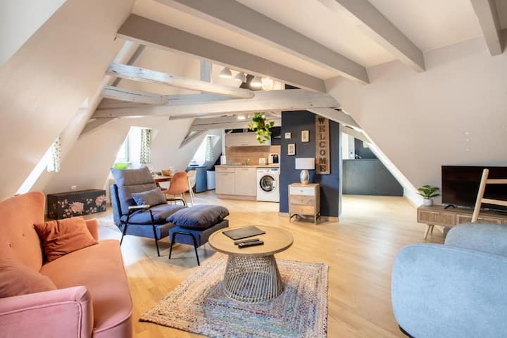 Magnifique Duplex De L'arsenal Hyper Centre - Mulhouse