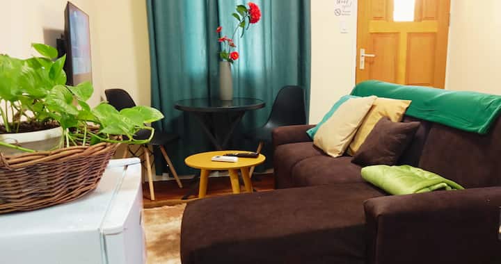 Dolfijn Studio's # 11 - Paramaribo