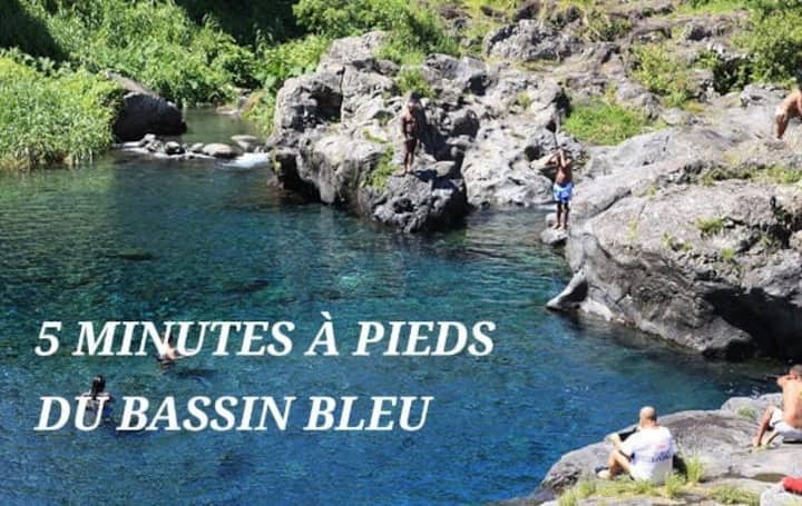 Recoin Bohème à 5 Min Du Bassin Bleu, Appart N°1 - La Réunion