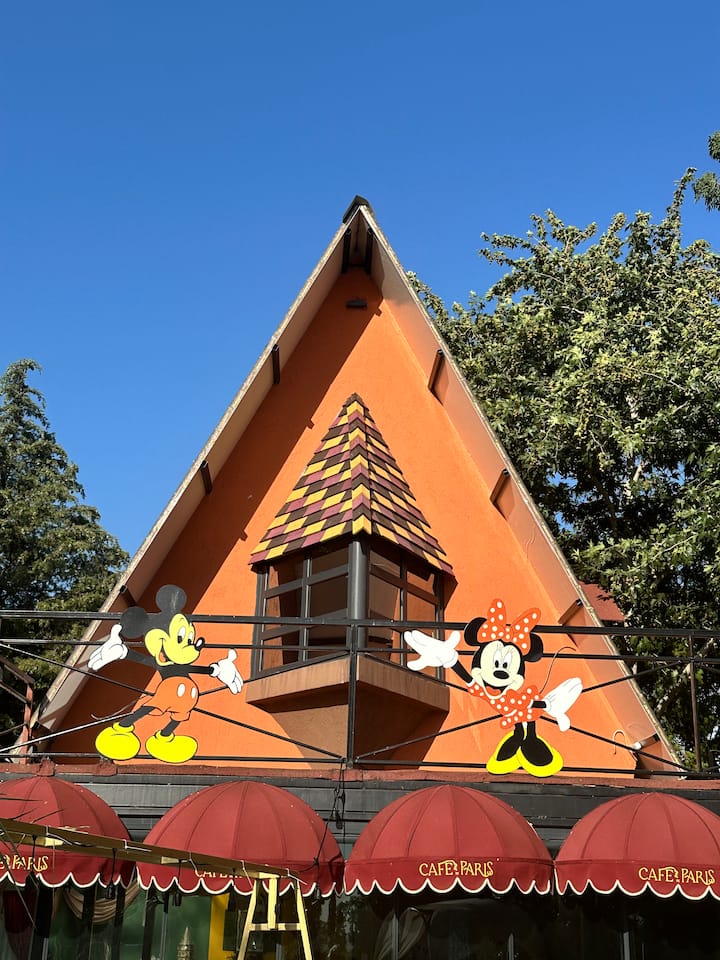 Disneyland Evi - Salihli
