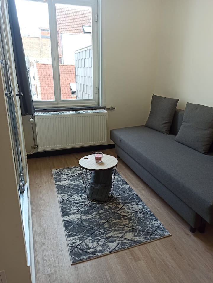 Bright & Cozy Flat By Midi Station - Brüssel Region, Belgien