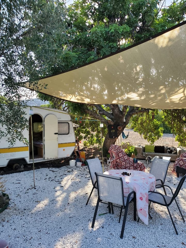 Olive Grove Nest - Zypern