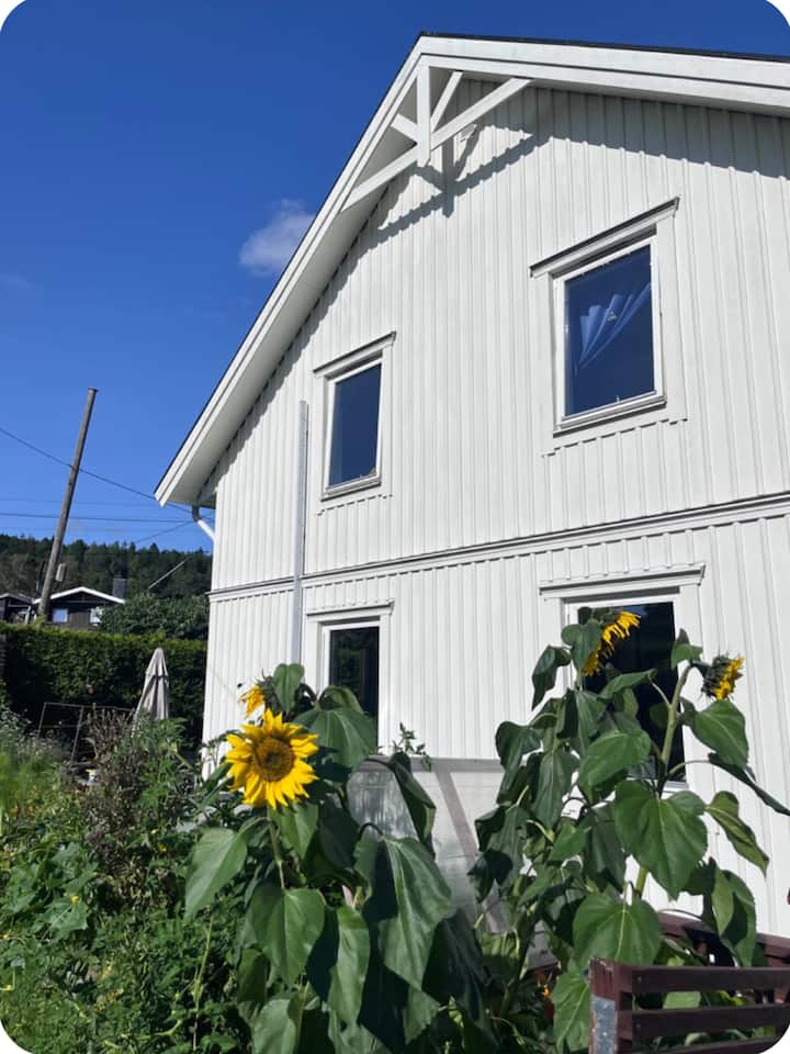 Family Home Near The City And Forrest - Oslo