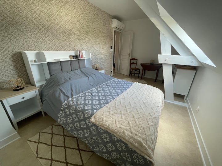 2 Belles Chambres Climatisées En Bord De Loire - Amboise