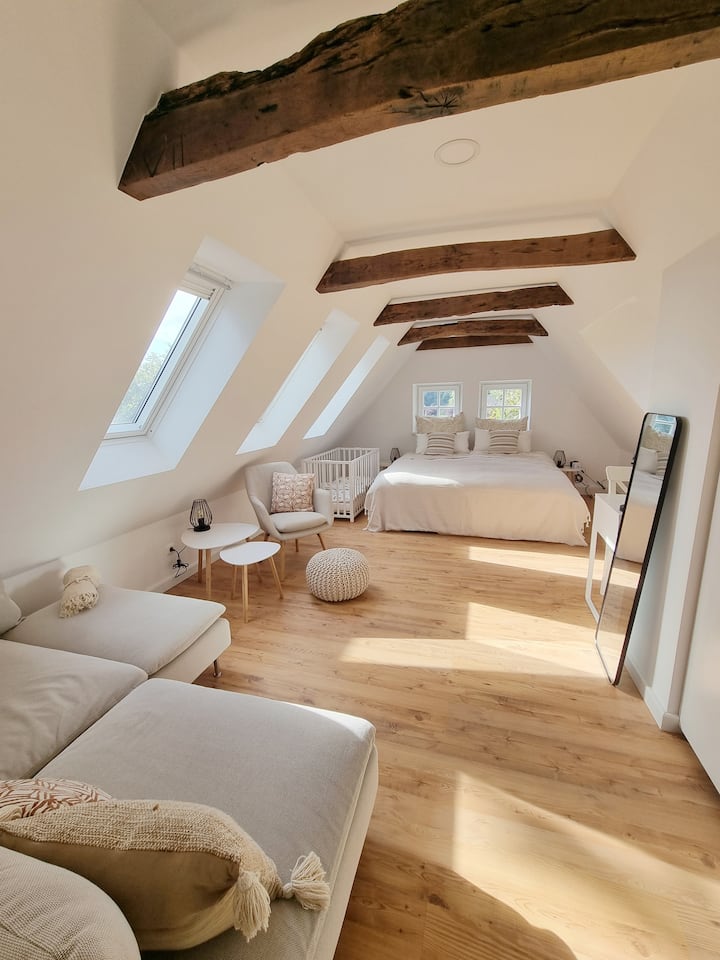 Lichtdurchflutete Dachgeschosswohnung Mit Charme - Wildeshausen