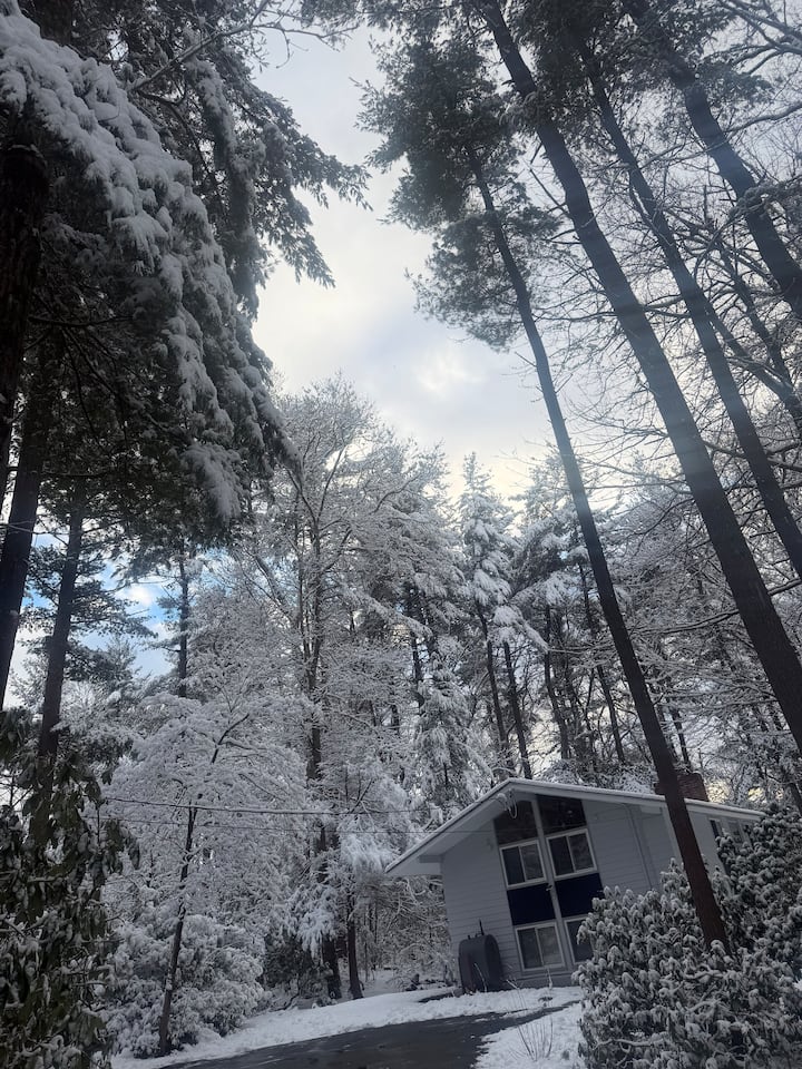 Woodland Retreat - Brockton, MA