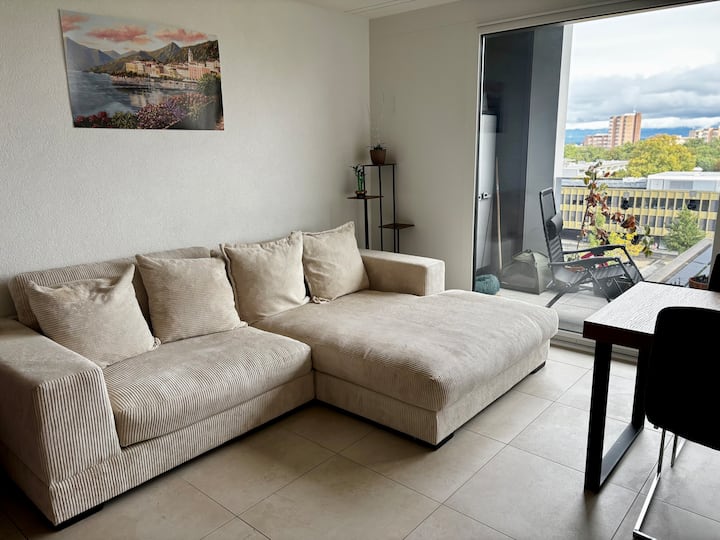Appartement Entier Lumineux, à Côté De Genève - Nyon