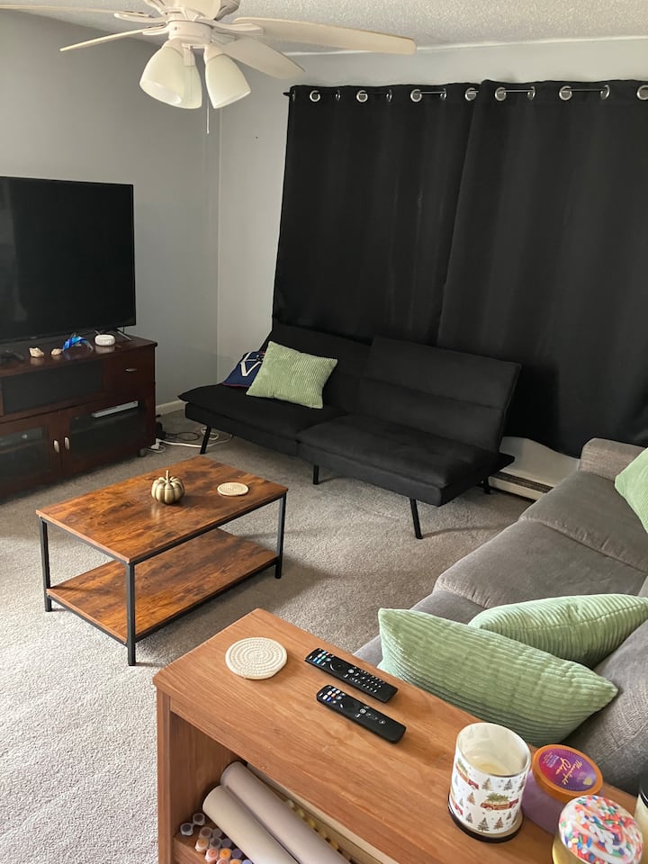 Simple 1 Bedroom Apartment - 스프링필드