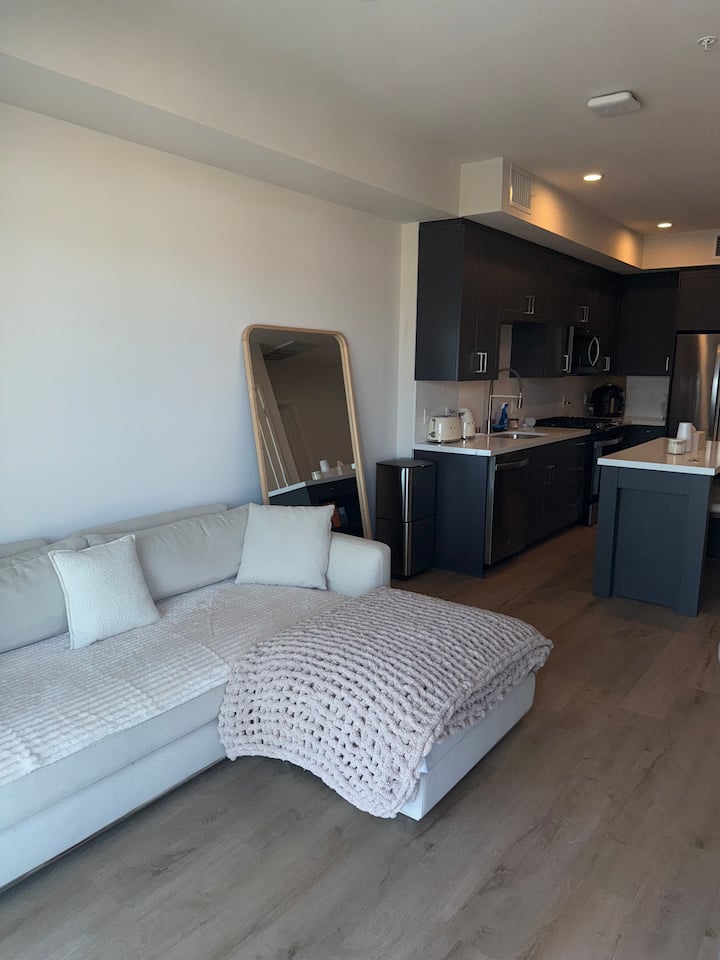 Hollywood Palladium 1 Bd Ev Charger Free Parking - Hollywood, CA