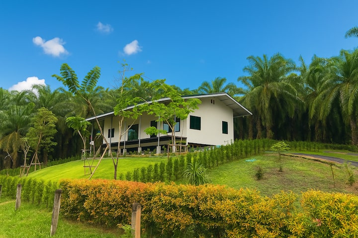 Klang Suan 68 - Mueang Phang-nga District