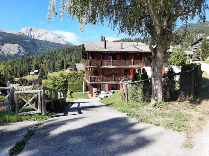 Appartement 3.5 Pièces à Crans-montana - Vercorin
