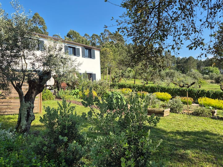 Cottage - Fátima