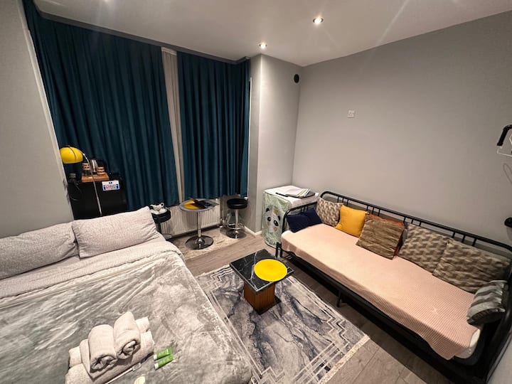 One Bedroom Flat (Two Rooms) 20 Mins Central Londn - London