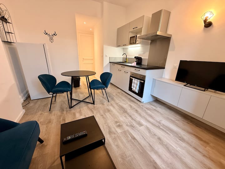 Appartement Paisible Au Cœur De La Ville - Saint-Étienne