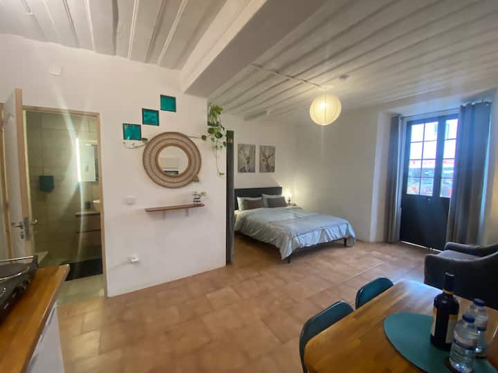 Cozy One-bedroom Apartment With Modern Comforts - Miranda do Corvo