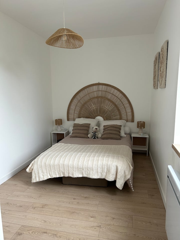 Loue Chambre 1 Personne Castres Centre-ville. - Castres