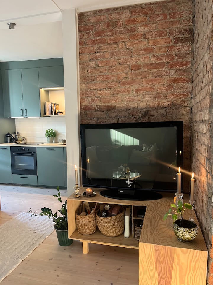 Koselig Leilighet Sentralt På Grunerløkka - Oslo