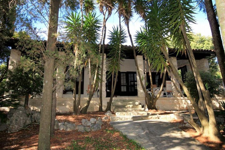 Vacances En Croatie - ÎLe De Rêve Korcula - Korčula